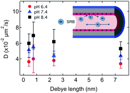 Imaging fluorescence correlation spectroscopy studies of dye diffusion ...