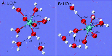 Acidity constants and redox potentials of uranyl ions in hydrothermal ...