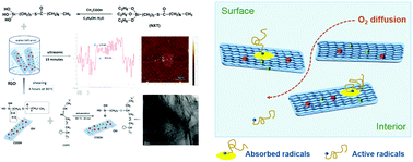 Thermal oxidative and ozone oxidative stabilization effect of ...