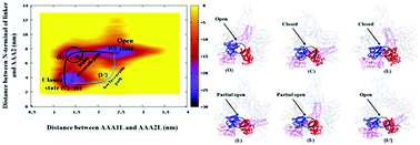 Exploring the mechanochemical cycle of dynein motor proteins ...