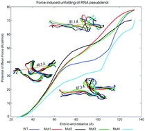 The role of sequence in altering the unfolding pathway of an RNA ...