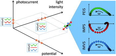 Empirical in operando analysis of the charge carrier dynamics in hematite photoanodes by PEIS ...