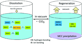 Fine regulation of cellulose dissolution and regeneration by low ...