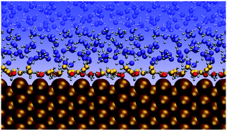 Neural network molecular dynamics simulations of solid–liquid interfaces: water at low-index ...