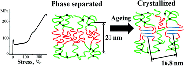 The role of fast and slow processes in the formation of structure and ...