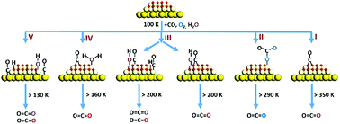 Surface reaction network of CO oxidation on CeO2/Au(110) inverse model ...