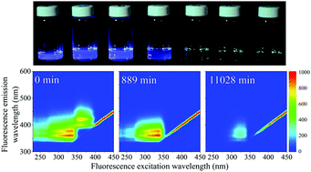 Determination of the thermal, oxidative and photochemical degradation ...