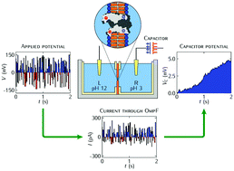 Energy transduction and signal averaging of fluctuating electric fields ...