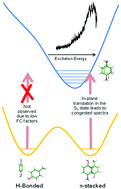 Hydrogen bonds vs. π-stacking interactions in the p-aminophenol⋯p ...