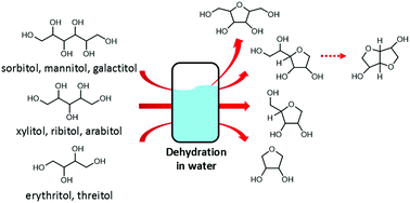 Intramolecular dehydration of biomass-derived sugar alcohols in high-temperature water ...
