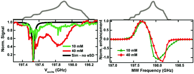 Effect of electron spectral diffusion on static dynamic nuclear ...
