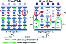 Broadband reflection in polymer stabilized cholesteric liquid crystal ...