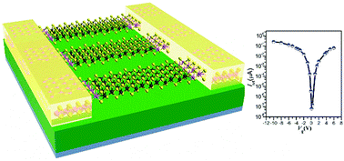 Electronic structures and transport properties of a MoS2–NbS2 ...