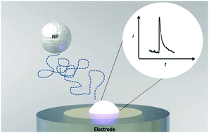 Electrode–particle impacts: a users guide - Physical Chemistry Chemical ...