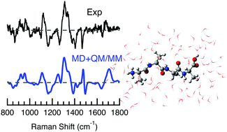 Raman optical activity of tetra-alanine in the poly(l-proline) II type ...
