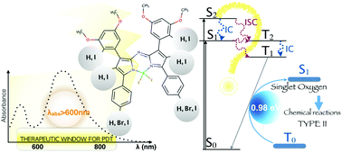 Halogen atom effect on the photophysical properties of substituted aza ...