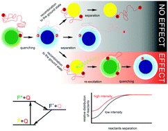 Influence of the excitation light intensity on the rate of fluorescence ...
