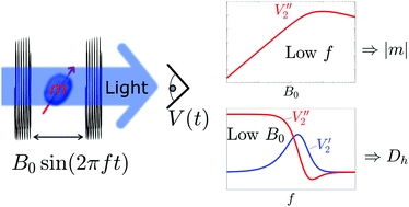 Characterization of fine particles using optomagnetic measurements ...