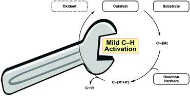 Mild metal-catalyzed C–H activation: examples and concepts - Chemical Society Reviews (RSC ...