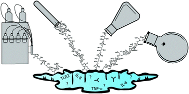 Teichoic acids: synthesis and applications - Chemical Society Reviews ...