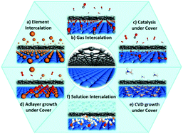 Surface chemistry and catalysis confined under two-dimensional ...