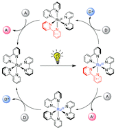 The photophysics of photoredox catalysis: a roadmap for catalyst design ...