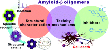 Towards an understanding of amyloid-β oligomers: characterization ...