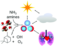 Phase separation in organic aerosol - Chemical Society Reviews (RSC ...