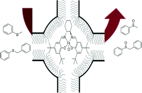 Encapsulation of chiral Fe(salen) in mesoporous silica structures for ...