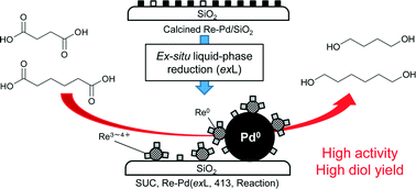 Hydrogenation of dicarboxylic acids to diols over Re–Pd catalysts ...