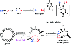 Insights into the mechanism for ring-opening polymerization of lactide ...