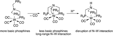 Insight into the stereoelectronic parameters of N-triphos ligands via ...