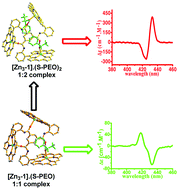 Rationalization of chirality induction and inversion in a zinc ...