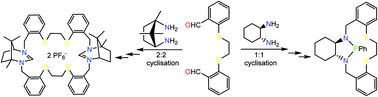 N2S2 and N4S4 precursors to PS2 macrocycles and cyclic amidinium salts ...