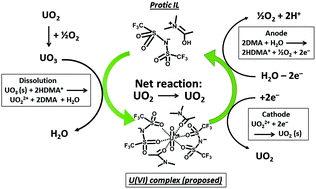 Tandem dissolution of UO3 in amide-based acidic ionic liquid and in ...