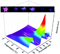 A novel dichromic self-referencing optical probe SrO:Bi3+,Eu3+ for ...