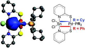 Group 10–group 14 metal complexes [E–TM]IV: the role of the group 14 ...
