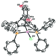 Coordination versatility of p-hydroquinone-functionalized ...