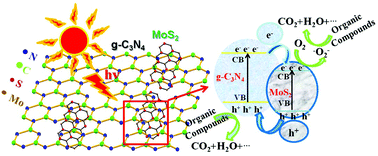 Controllable synthesis of graphitic C3N4/ultrathin MoS2 nanosheet ...