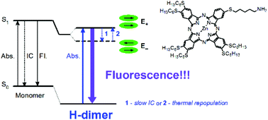 Fluorescent H-aggregates of an asymmetrically substituted mono-amino Zn ...