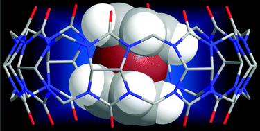 Solid-state study of the structure and host–guest chemistry of ...