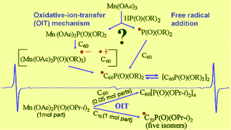 A mechanistic study of manganese(iii) acetate-mediated phosphonyl group ...