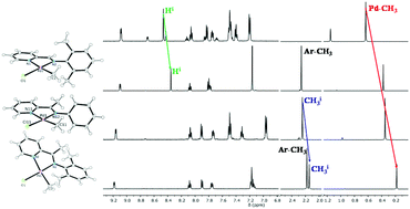 Palladium complexes with simple iminopyridines as catalysts for ...