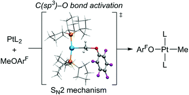 Platinum(0)-mediated C–O bond activation of ethers via an SN2 mechanism ...