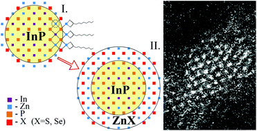 Highly luminescent core–shell InP/ZnX (X = S, Se) quantum dots prepared ...