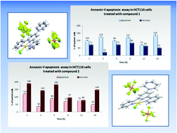 Cytotoxic gold(iii) complexes incorporating a 2,2′:6′,2′′-terpyridine ...