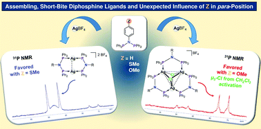 Mono- and polynuclear Ag(i) complexes of N-functionalized bis ...