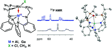 Structure and dynamic NMR behavior of rhodium complexes supported by ...