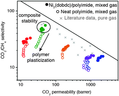 Plasticization-resistant Ni2(dobdc)/polyimide composite membranes for ...