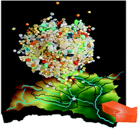 A theoretical assessment of microplastic transport in river catchments ...